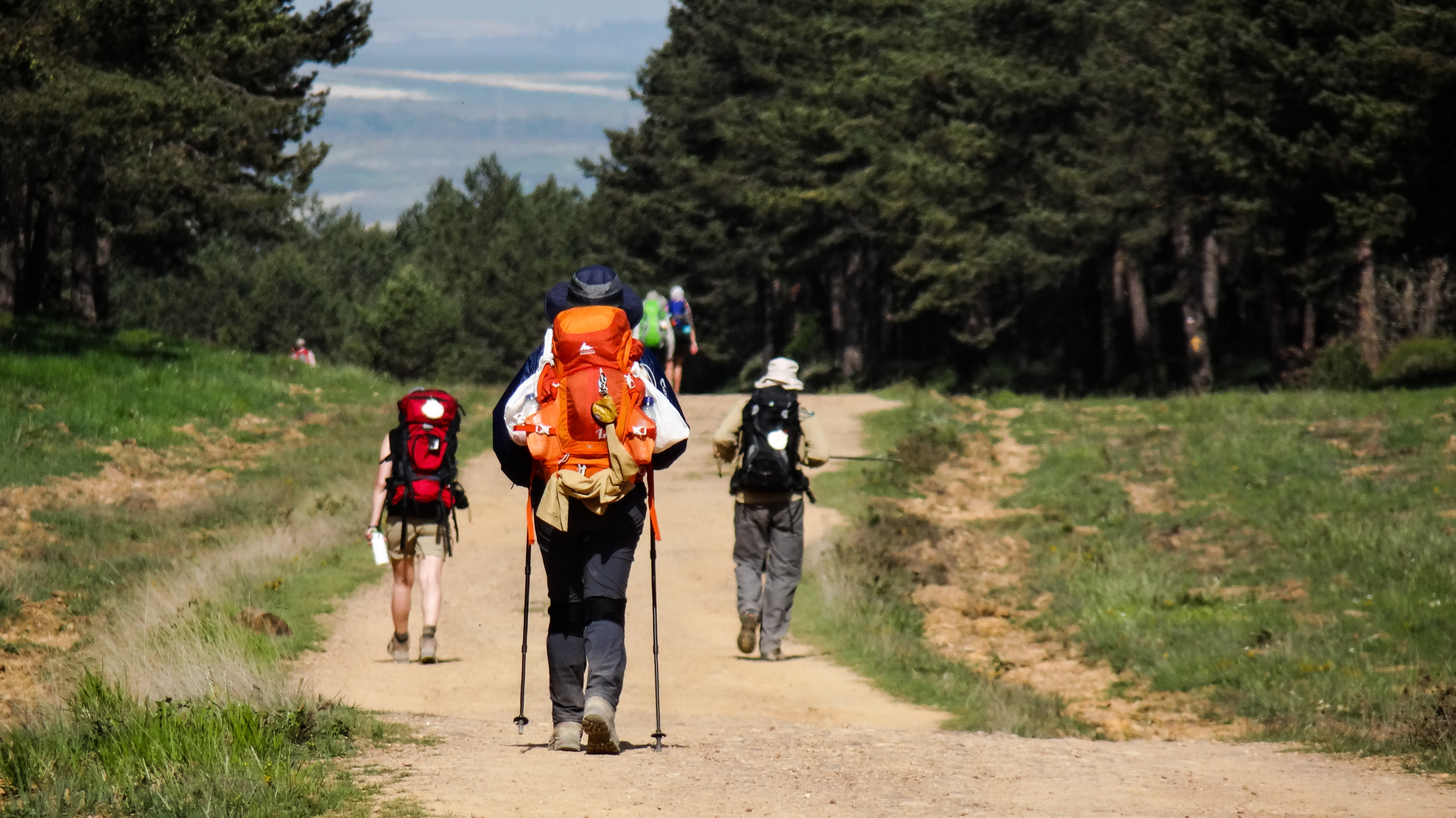 French Way from Sarria in a group: an experience that unites