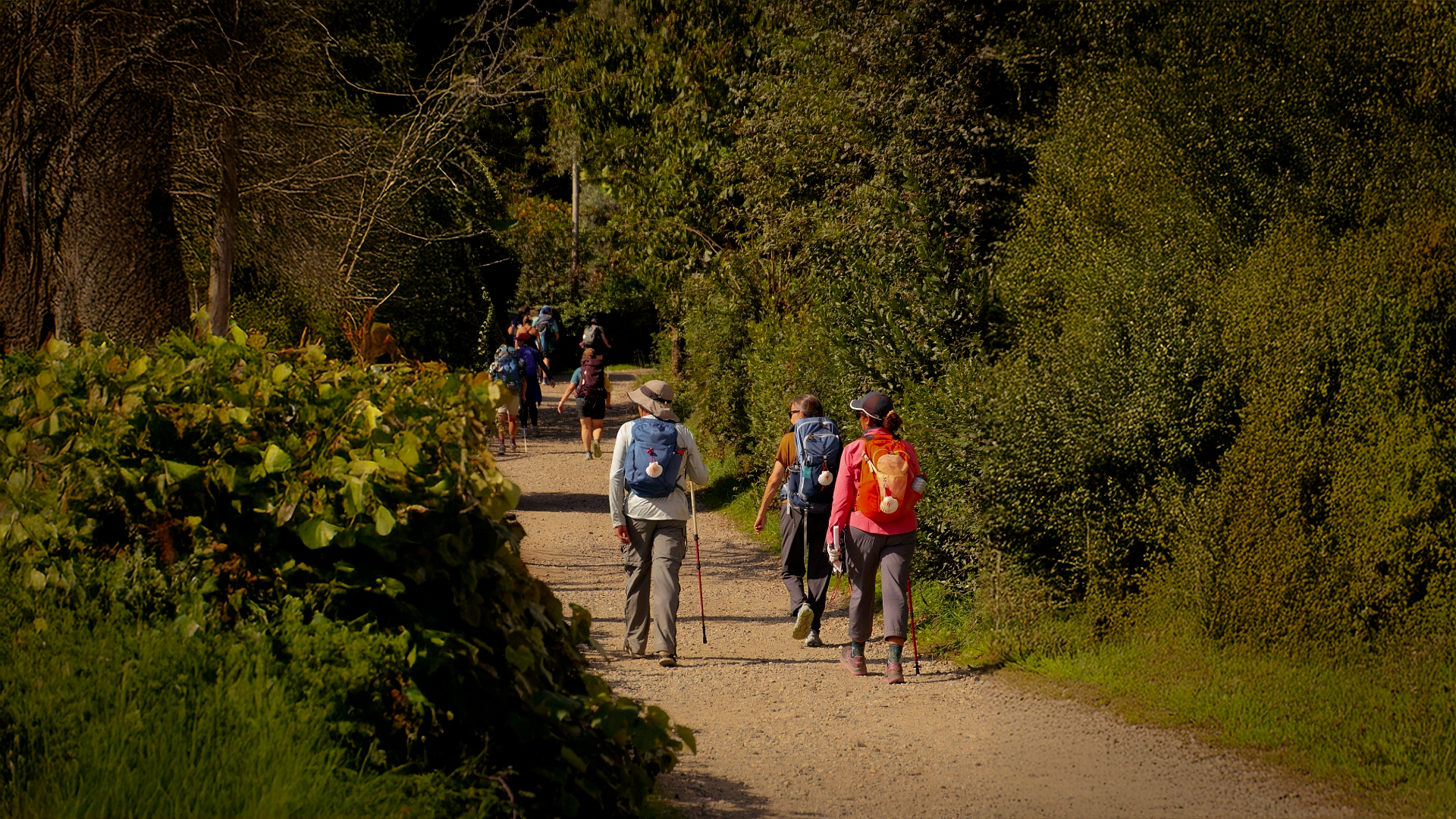 Camino de Santiago en grupo, Camino plaza a plaza, Camino con…